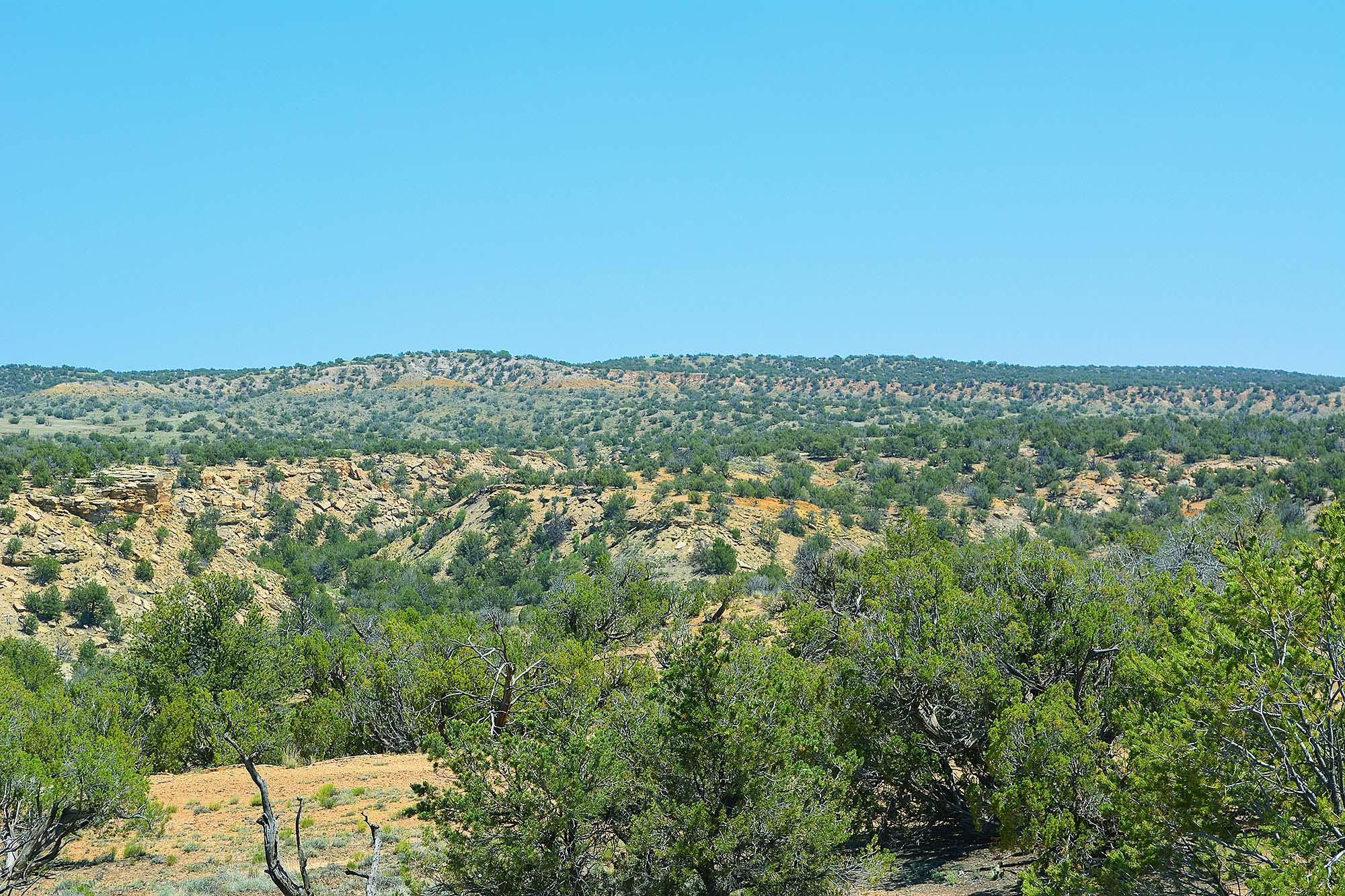 37 acres in Saint Johns, AZ, 85936 | LandWatch
