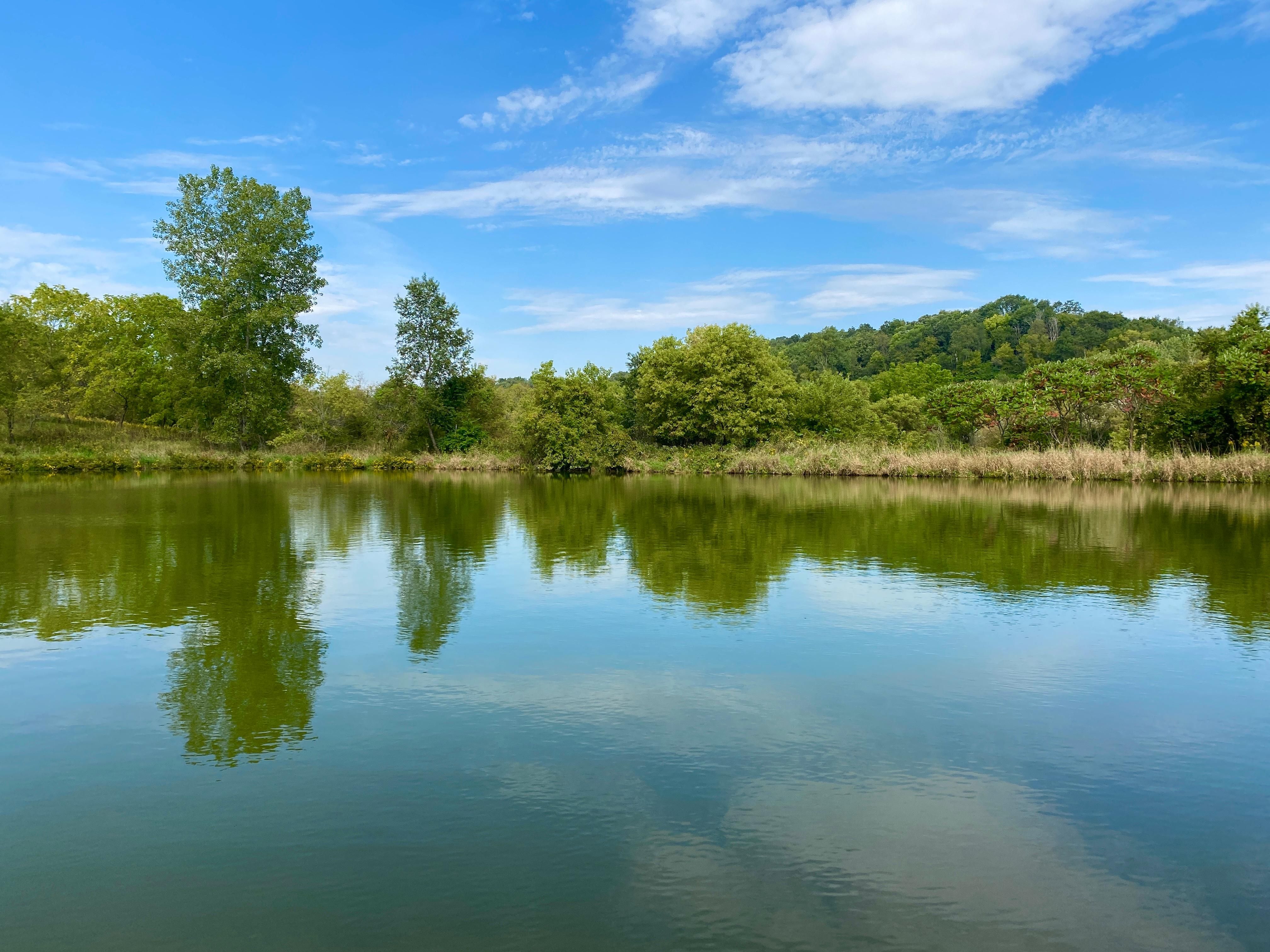 4347 Depot Rd, Wadena, IA 52169 | LandWatch