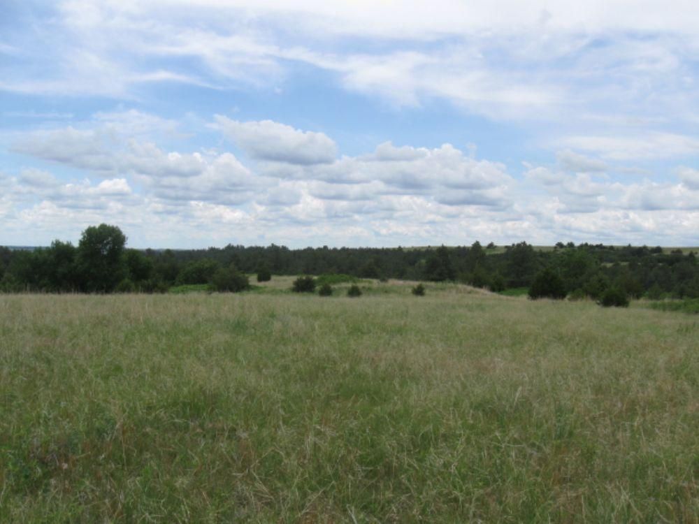 Springview, Keya Paha County, NE Farms and Ranches, Recreational ...