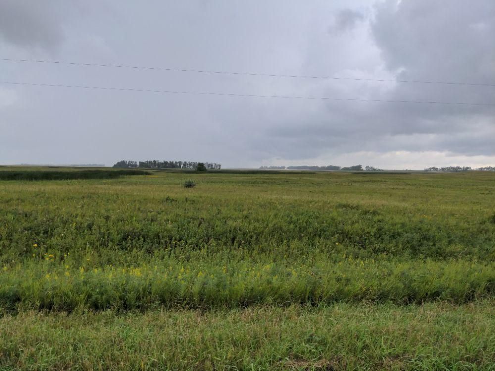800 acres in Michigan, ND, | LandWatch