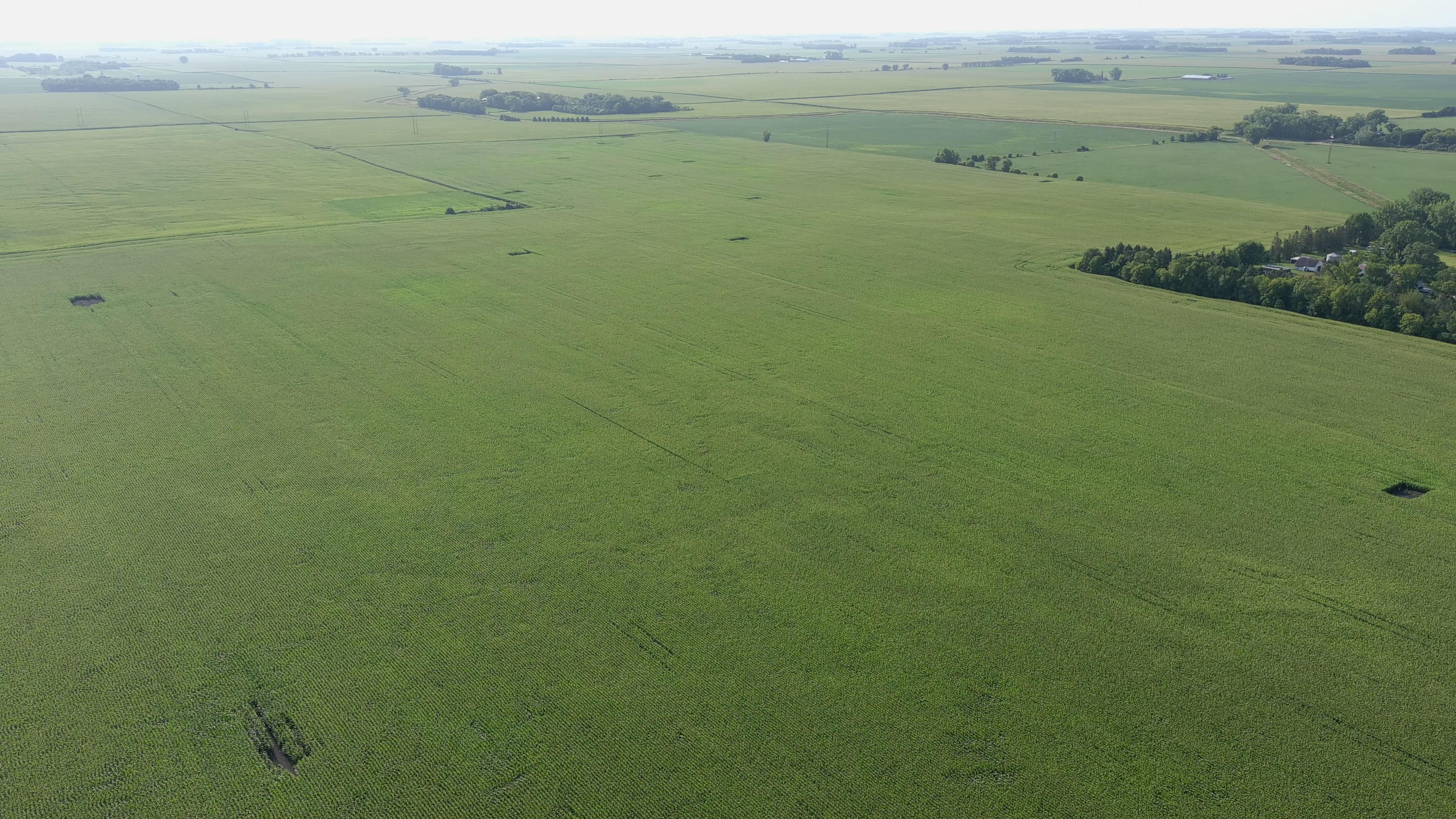 Raymond, Kandiyohi County, MN Farms and Ranches for auction Property ID ...