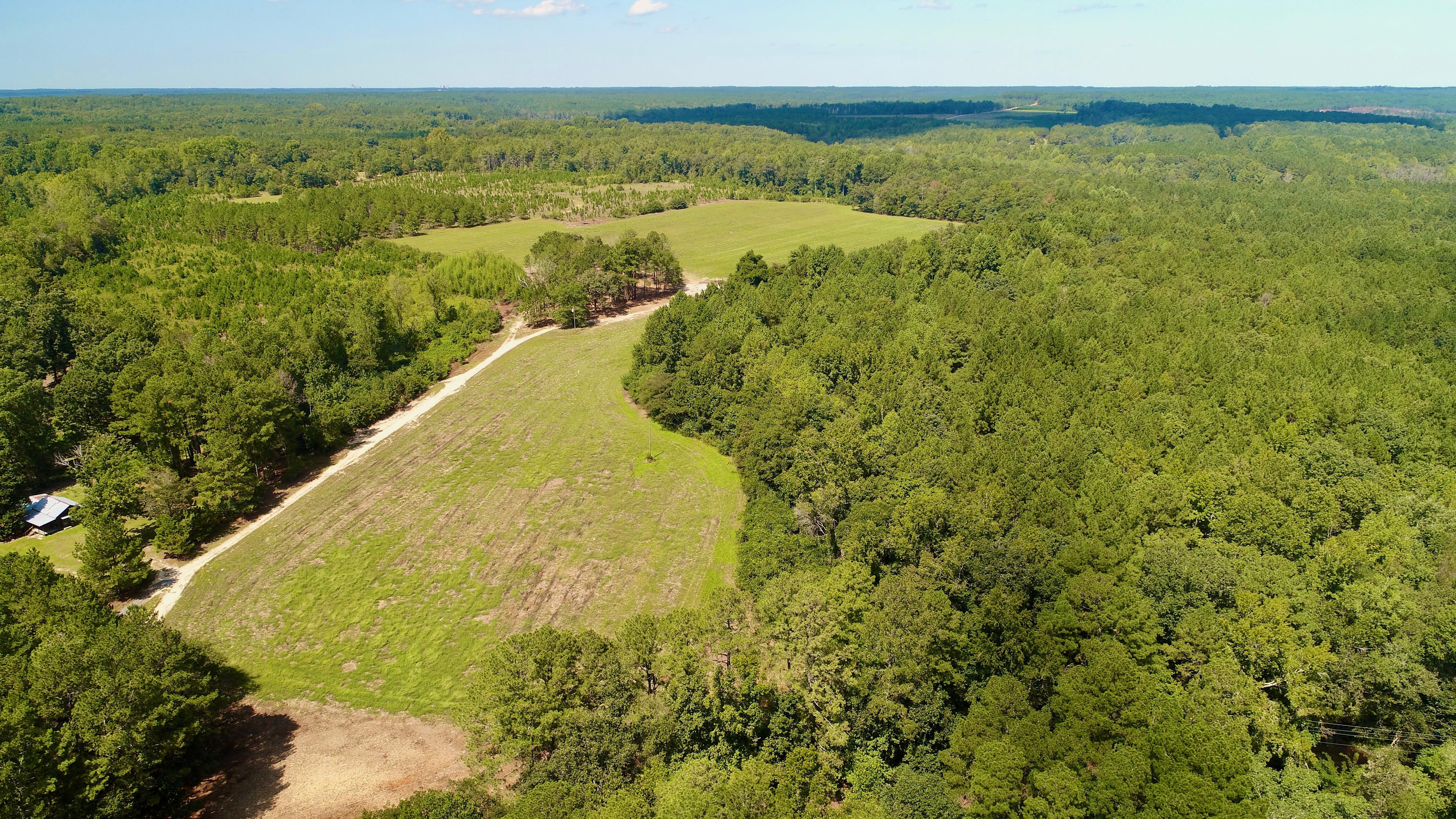 6054 NC 73, Jackson Springs, NC 27281 | LandWatch
