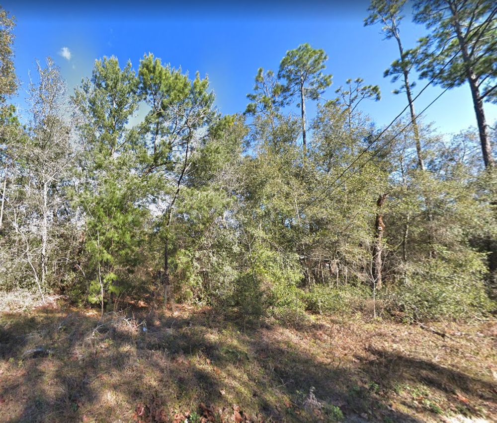 Miller Road, Interlachen, FL 32148 | LandWatch
