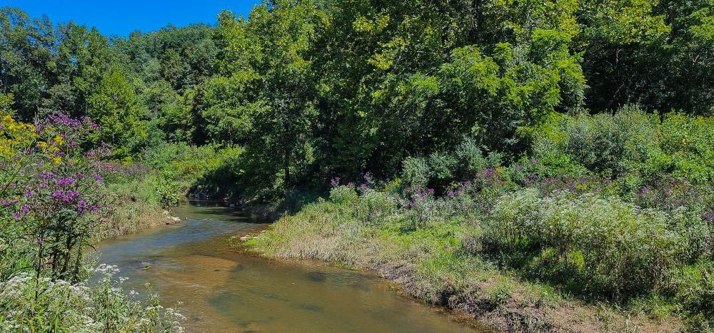 2484 Spring Valley Road, Asbury, WV 24916 | MLS: MUDDY CREEK FIELD ...