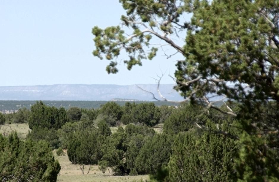 141.02 acres in Santa Rosa, NM, 88435 | MLS: PCR 27 | LandWatch