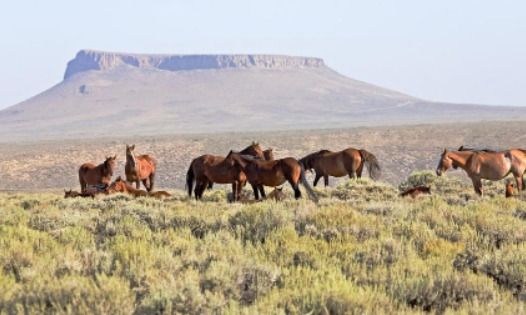 40 acres in Wamsutter, WY, 82336 | LandWatch