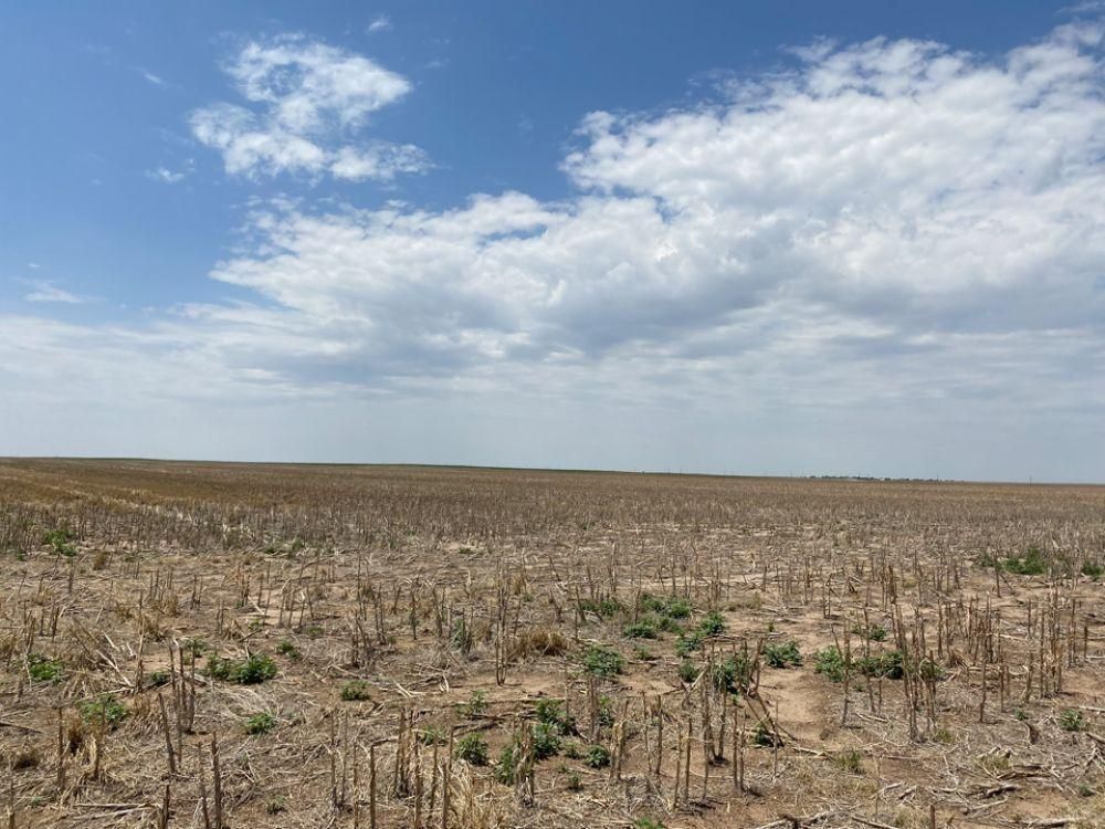 Adams, Texas County, OK Farms and Ranches, Recreational Property for ...