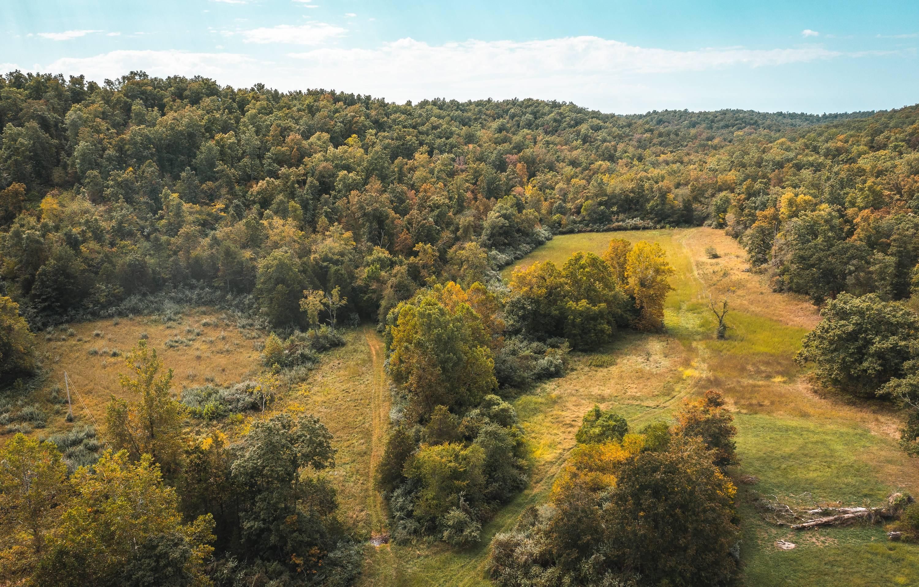 000 County Road 448, Redford, MO 63665 | LandWatch