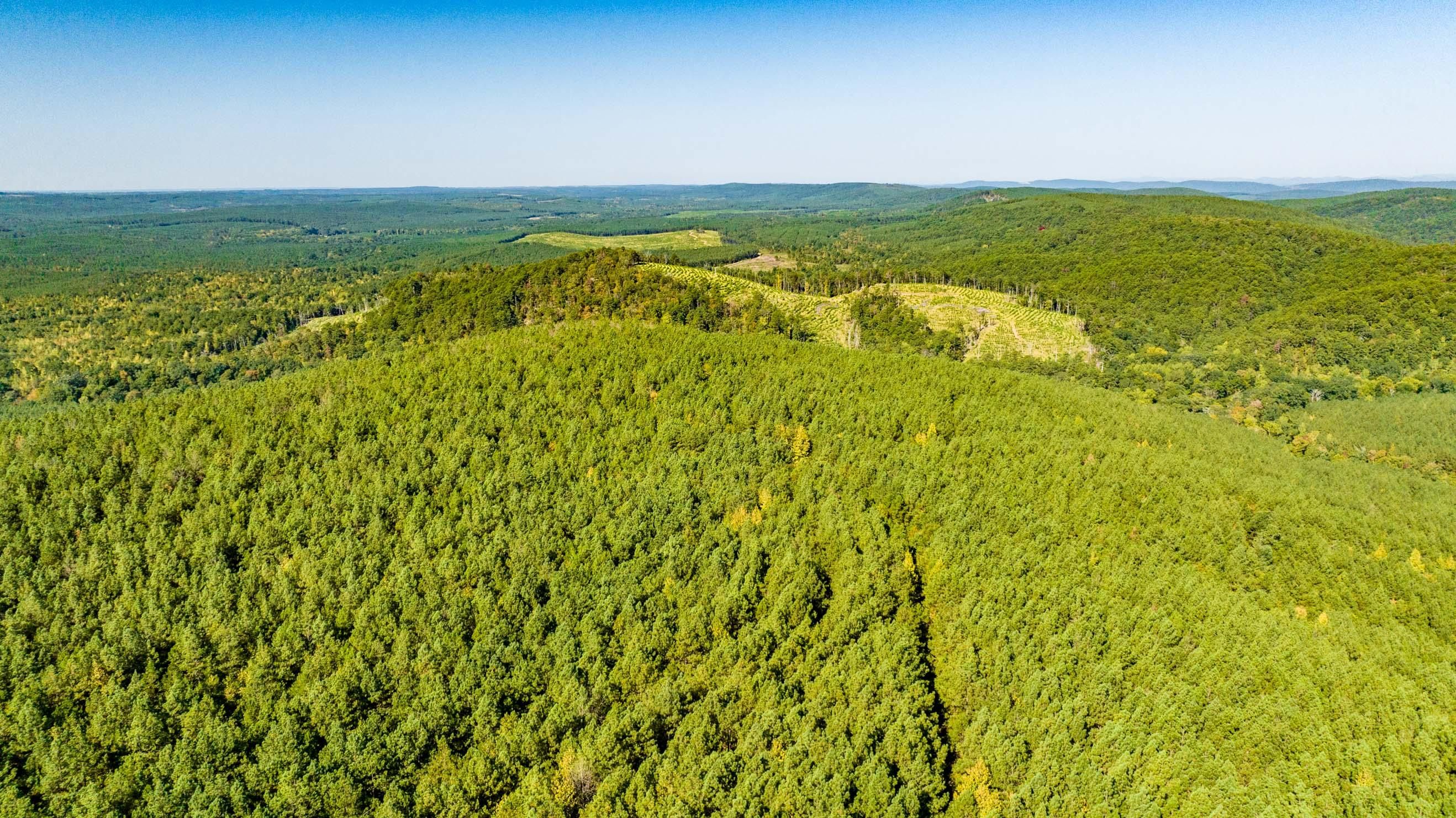 250 acres in Alpine, AR, 71921 | LandWatch