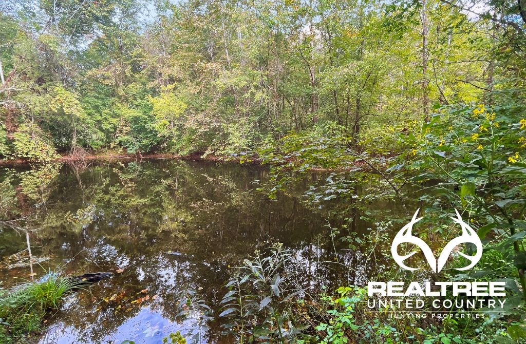 Glouster, Athens County, OH Recreational Property, Hunting Property for ...