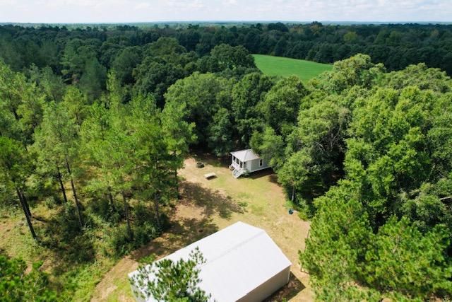 91 acres in State Line, MS, 39362 | MLS: 70100 | LandWatch