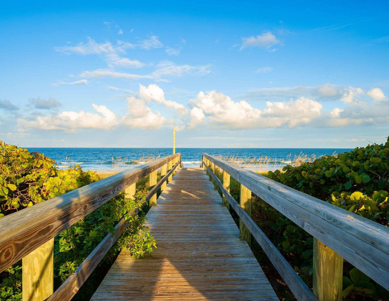 Old Town, Dixie County, FL Timberland Property, Undeveloped Land ...