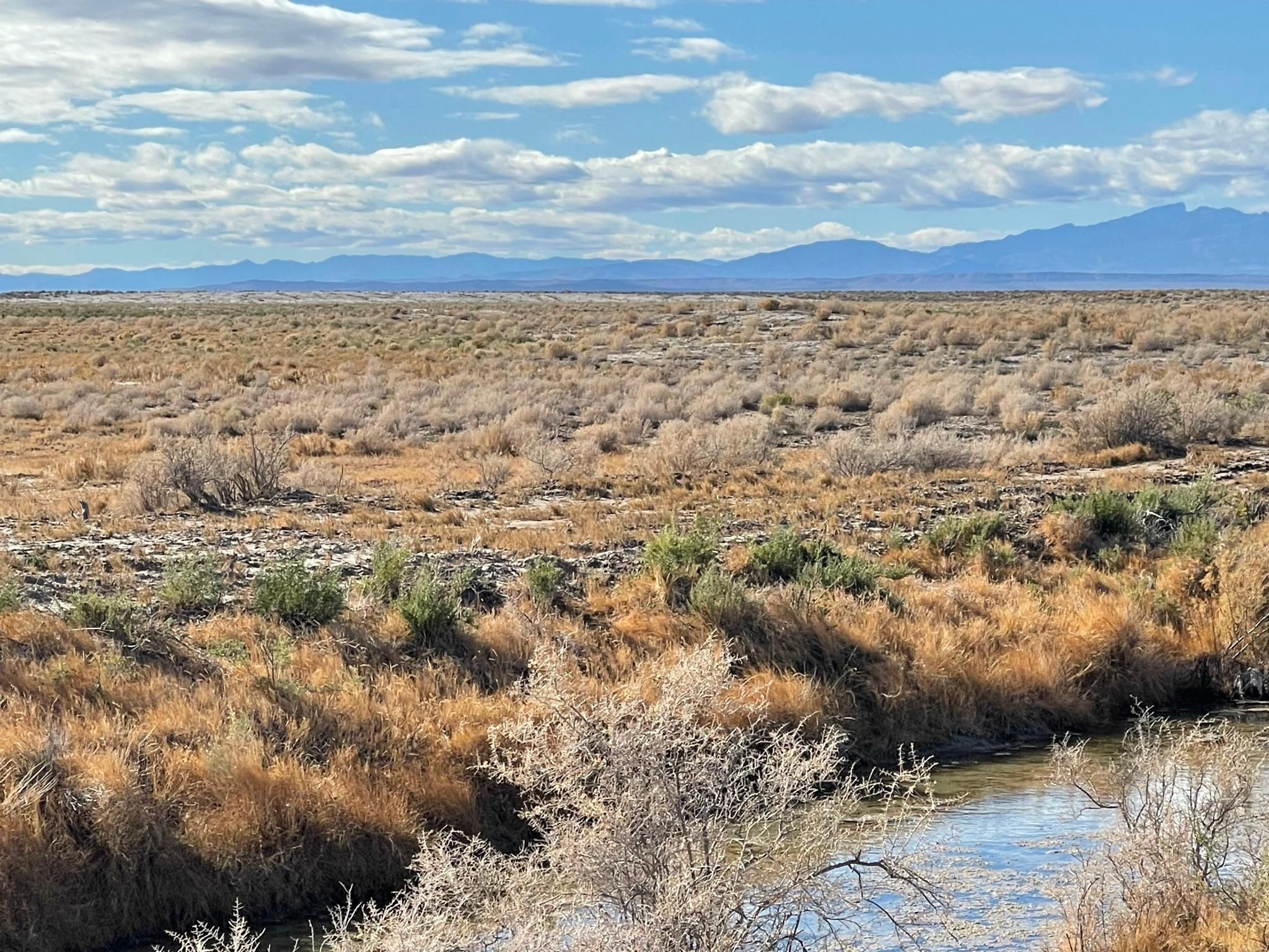 799.09 acres in Delta, UT, 84624 | MLS: 1845017 | LandWatch