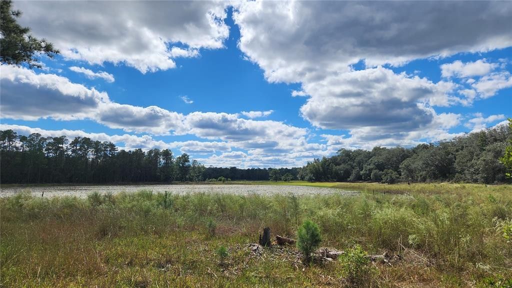Hawthorne, Putnam County, FL Farms and Ranches, Lakefront Property, Waterfront Property ...