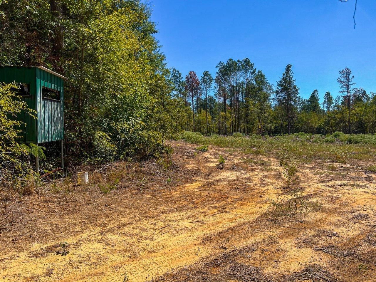 Scroggins, Franklin County, TX Farms and Ranches, Hunting Property for ...