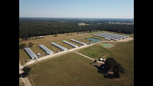 Detroit, Red River County, TX Farms and Ranches for sale Property ID ...