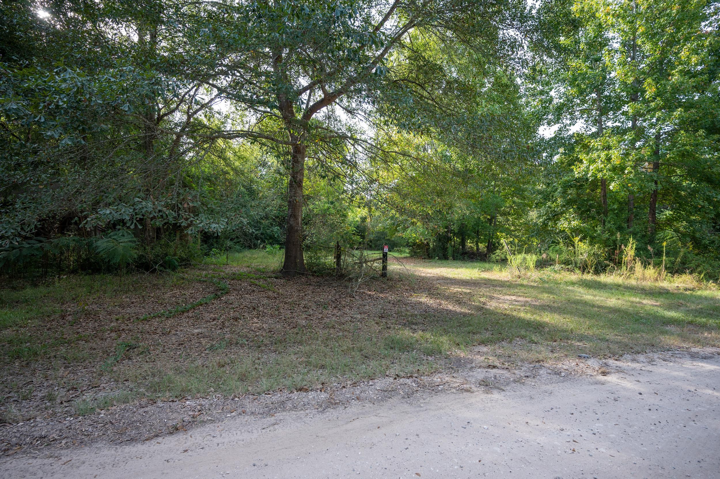 County Road 4360, Spurger, TX 75979 | LandWatch