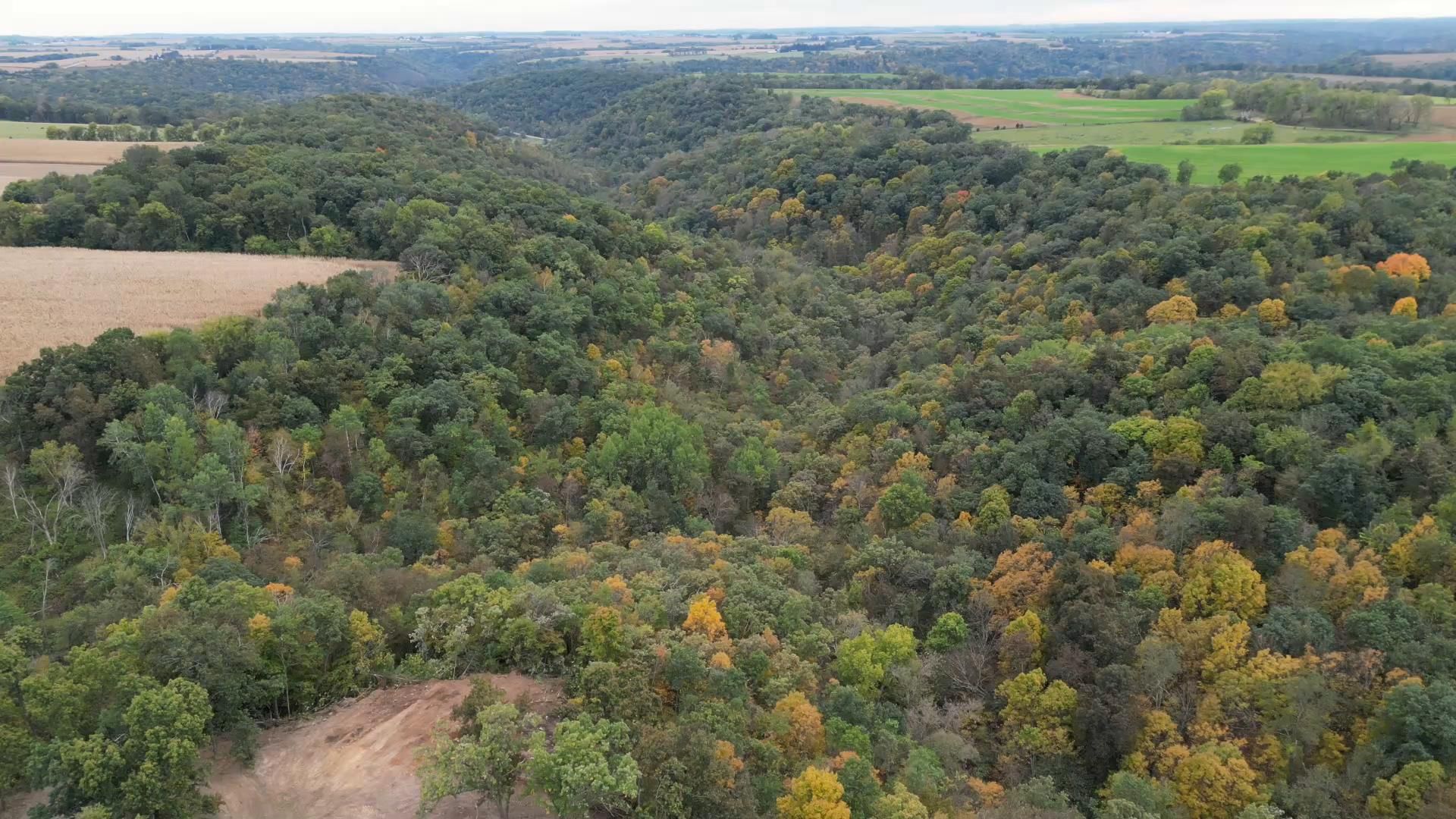 Almond Rd, Peterson, MN 55962 | LandWatch