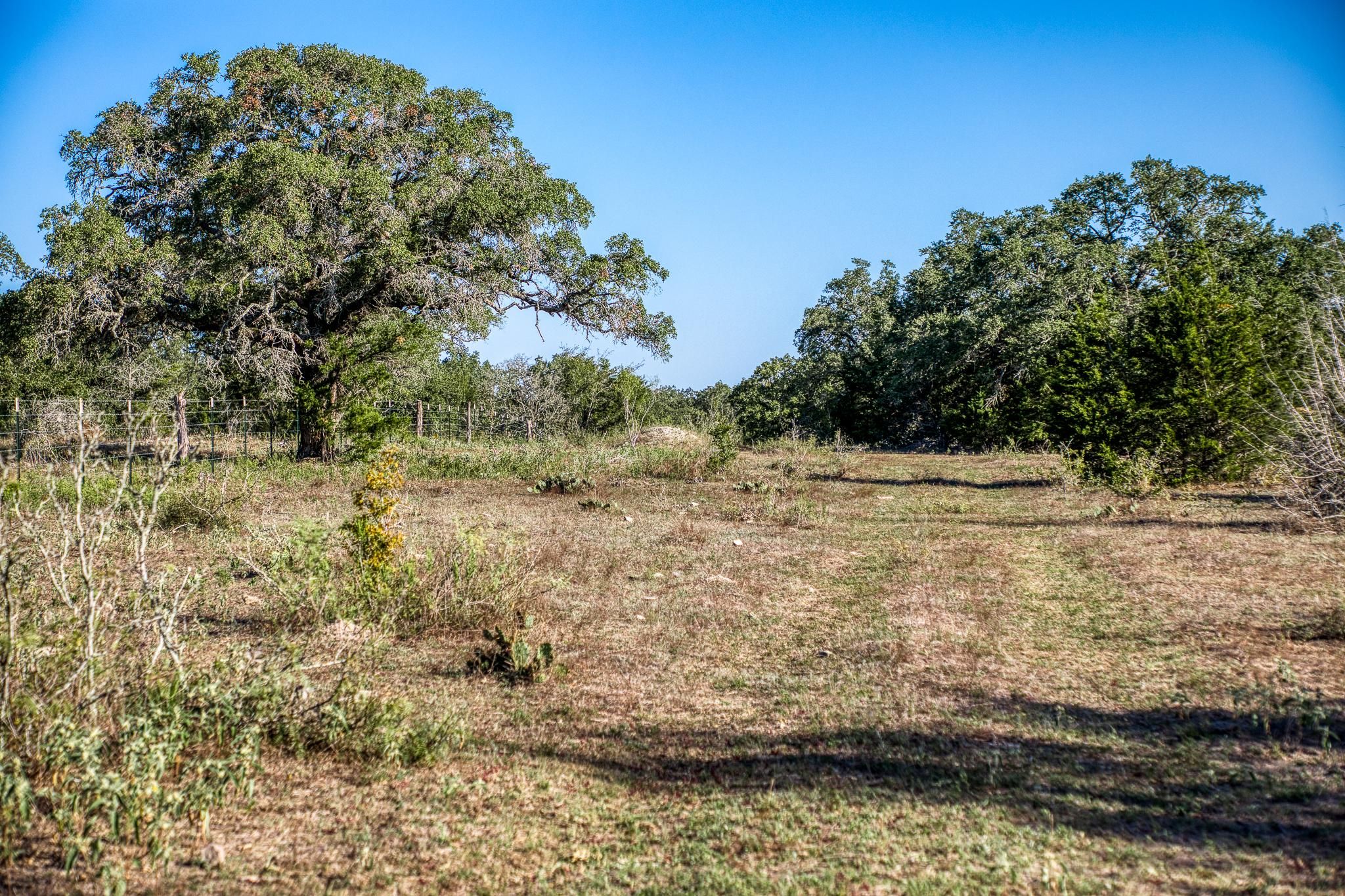 TBD FM 154, Muldoon, TX 78949 | LandWatch