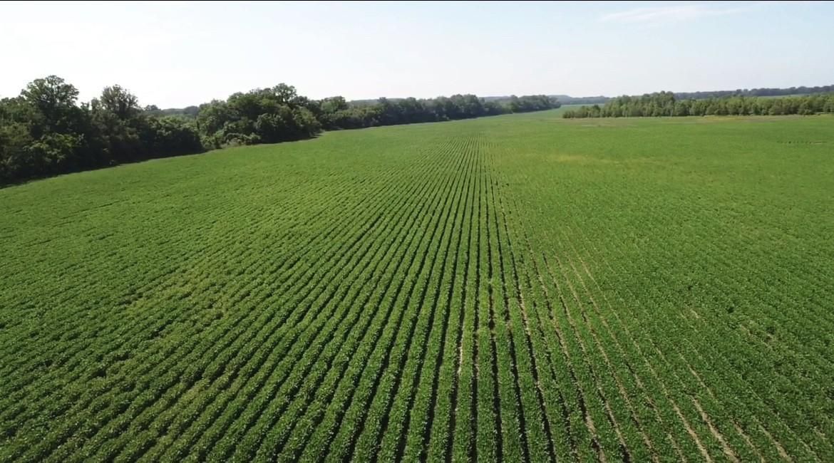 Marianna, Lee County, AR Farms and Ranches for sale Property ID ...