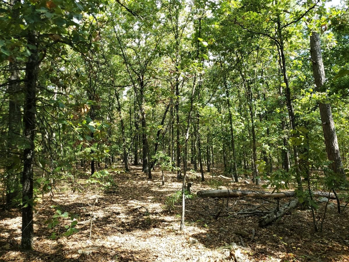 29.26 acres in Rattan, OK, 74562 | LandWatch