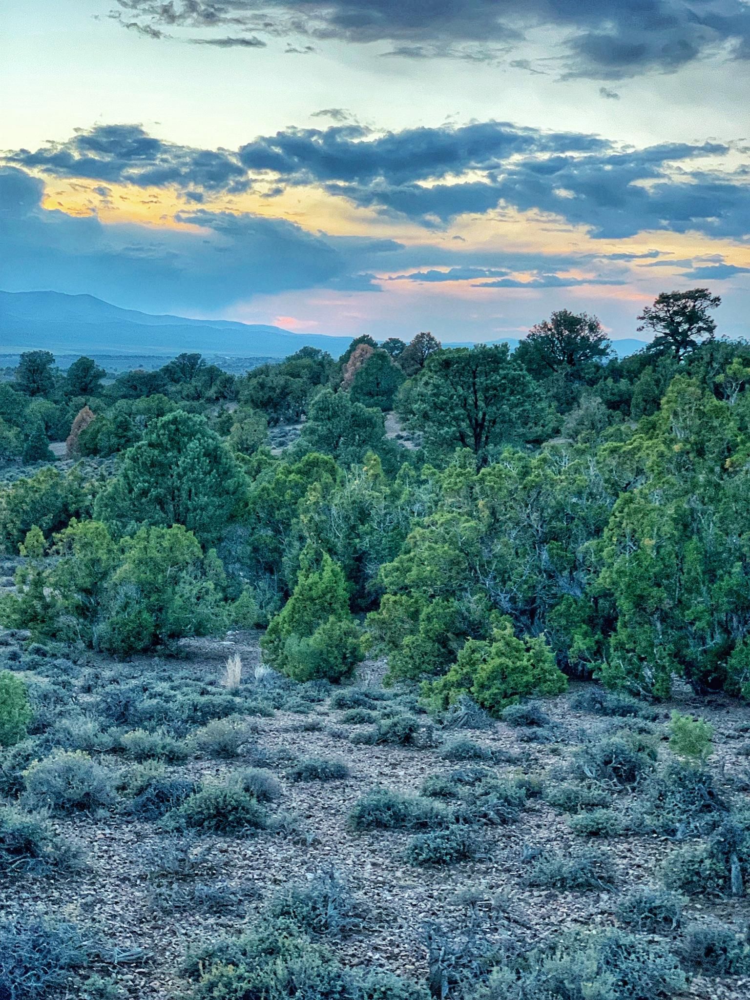 40 acres in Oasis, NV, 89830 | LandWatch