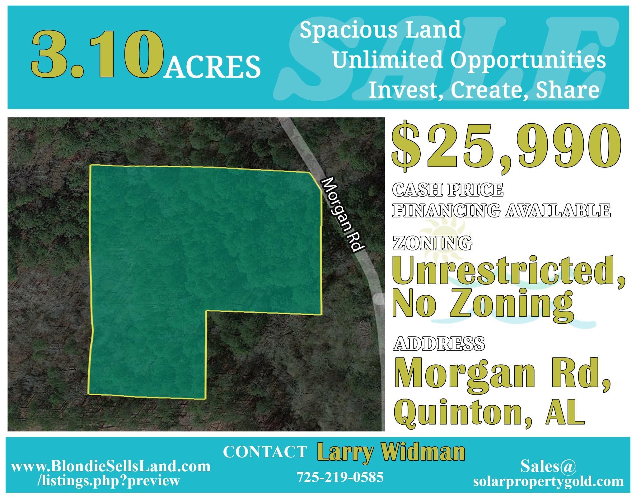 Morgan Rd #0, Dora, AL 35130 | LandWatch