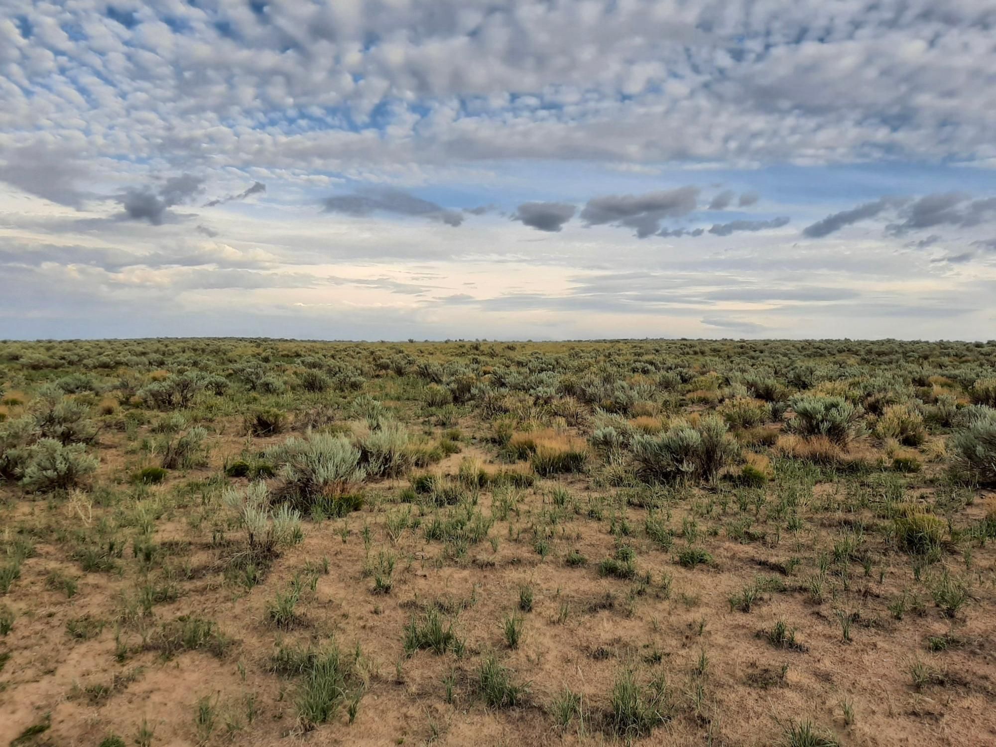 Chambers, Apache County, AZ Recreational Property, Undeveloped Land for ...