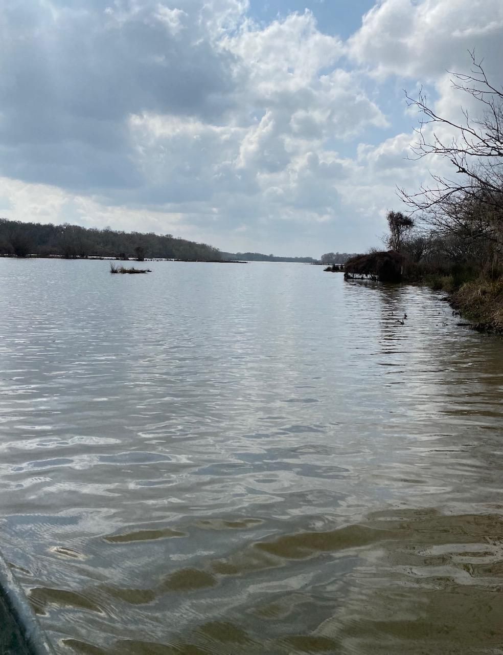 Lcr 828, Groesbeck, TX 76642 | MLS: 20095137 | LandWatch