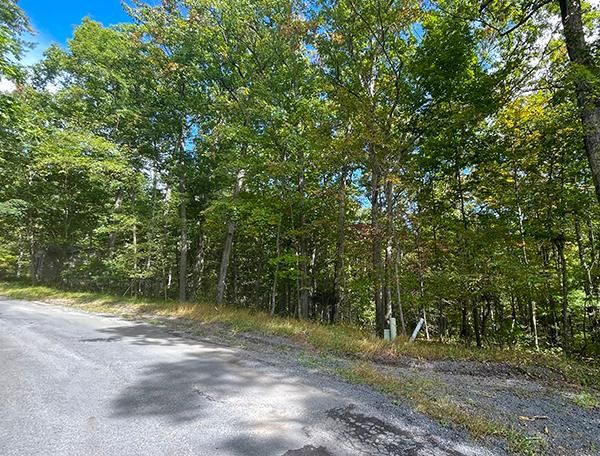 Pin Oak Road, Basye, VA 22842 | LandWatch