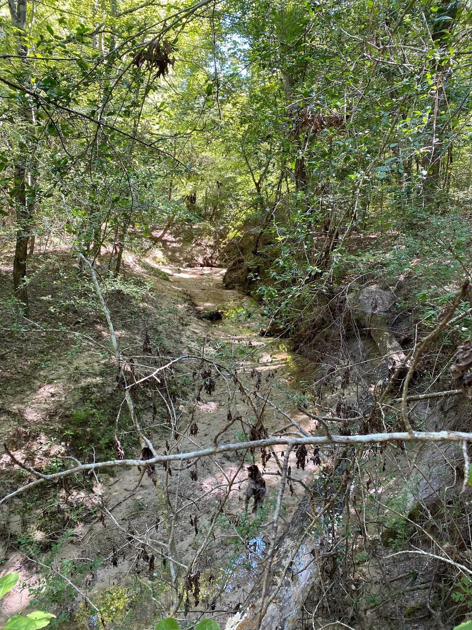 Colmesneil, Tyler County, TX Recreational Property for sale Property ID ...