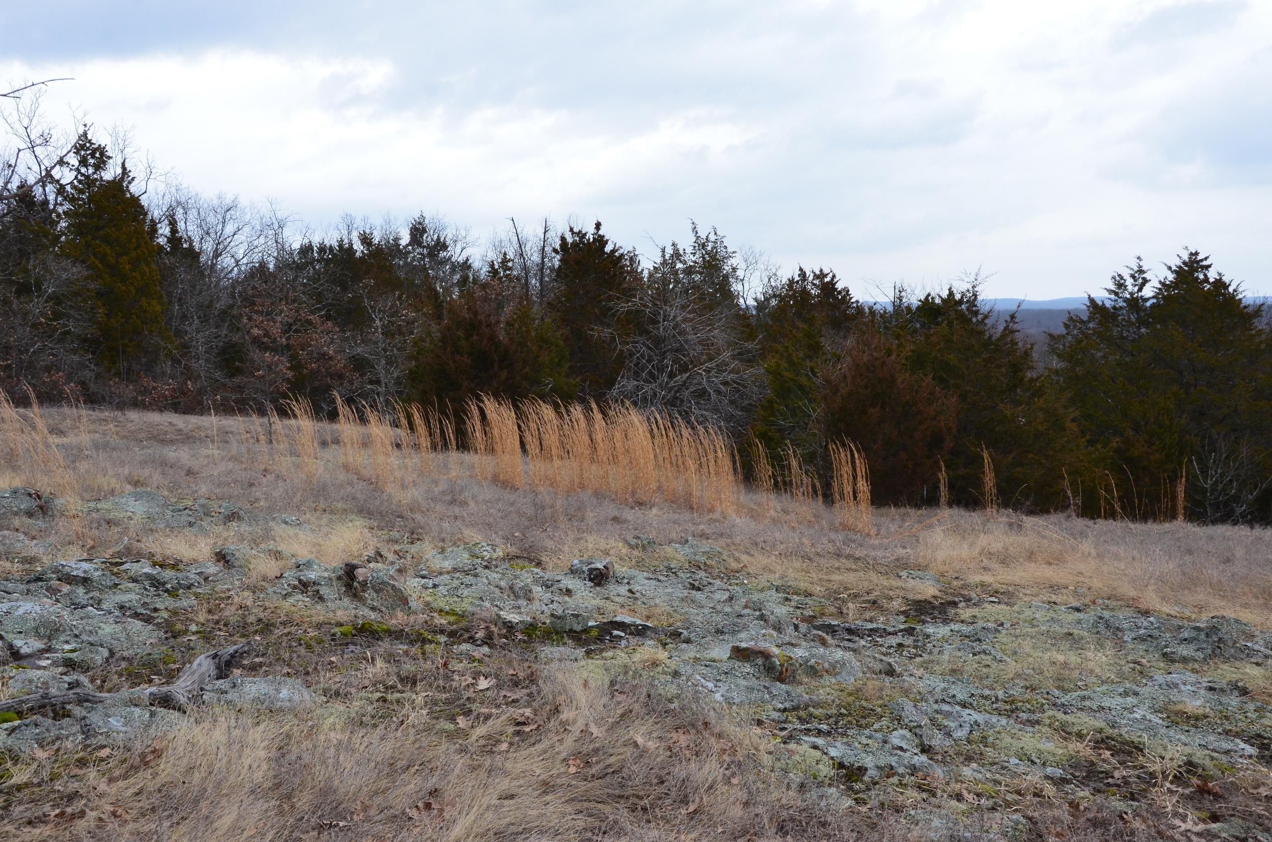 Simms Road, Lot#WP001, Park Hills, MO 63601 | LandWatch