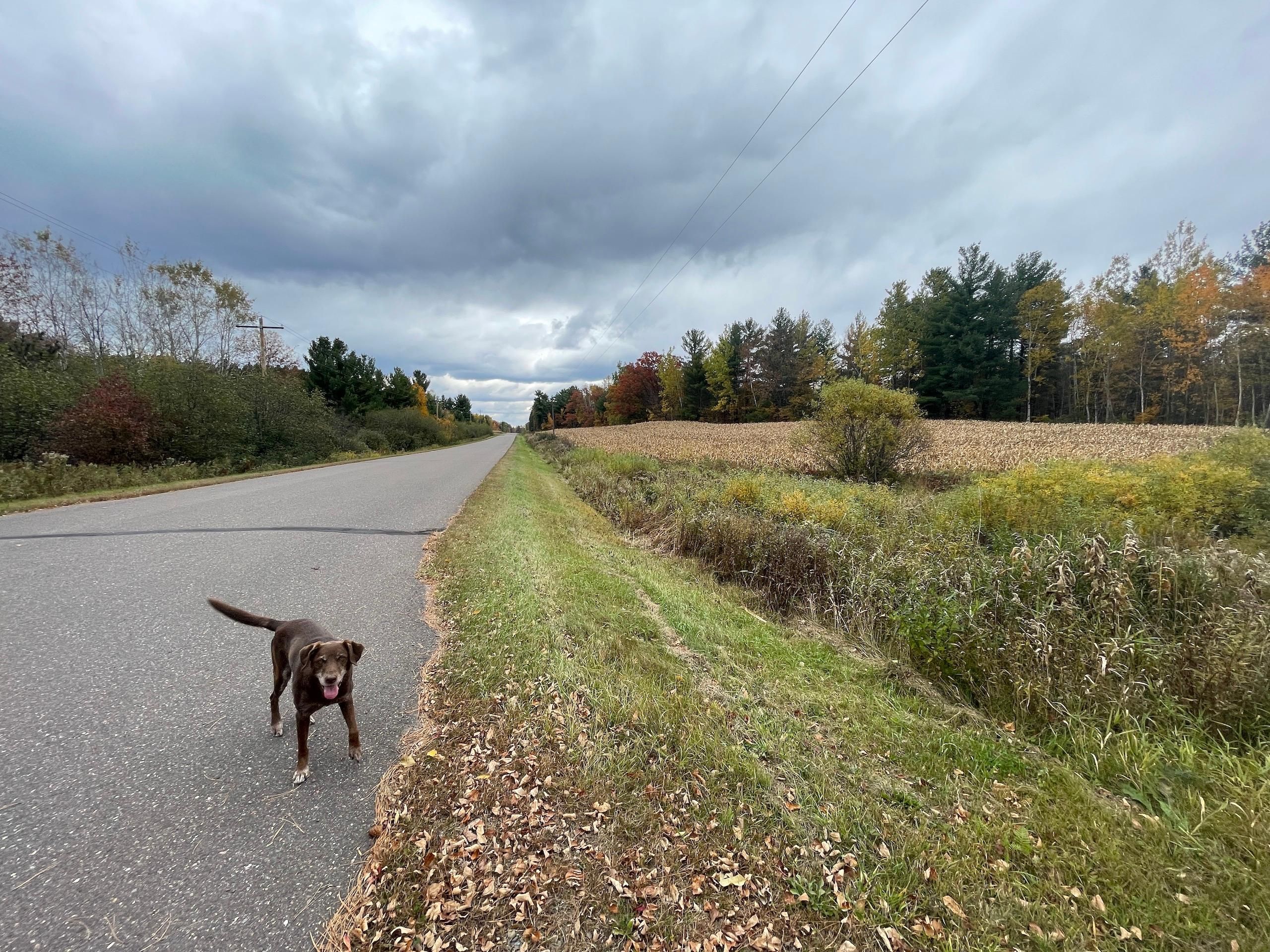 Cumberland, Barron County, WI Farms and Ranches, Hunting Property for ...