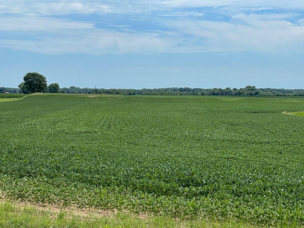247.5 acres in Hooppole, IL, 61234 | LandWatch