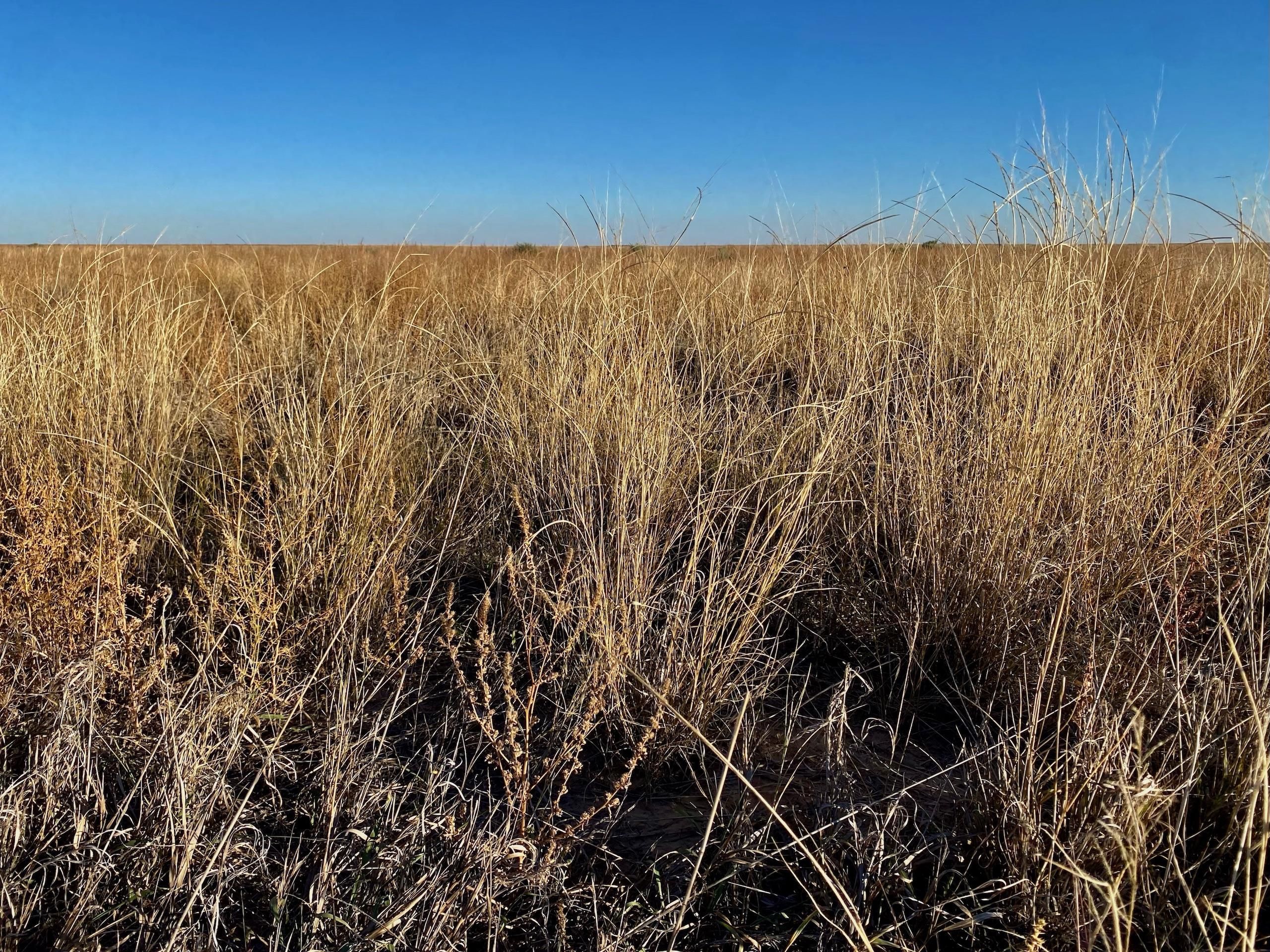 Lindon, Washington County, CO Farms and Ranches, Recreational Property ...