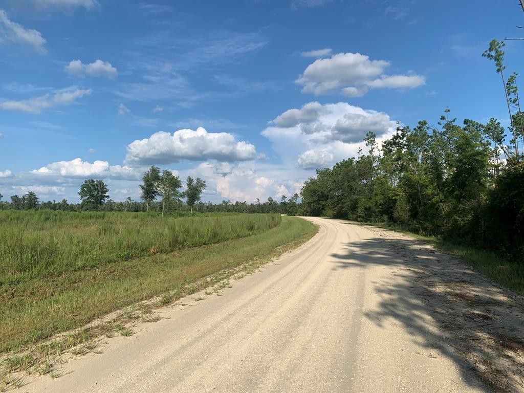 Clarksville, Calhoun County, FL Farms and Ranches, Homesites for sale ...