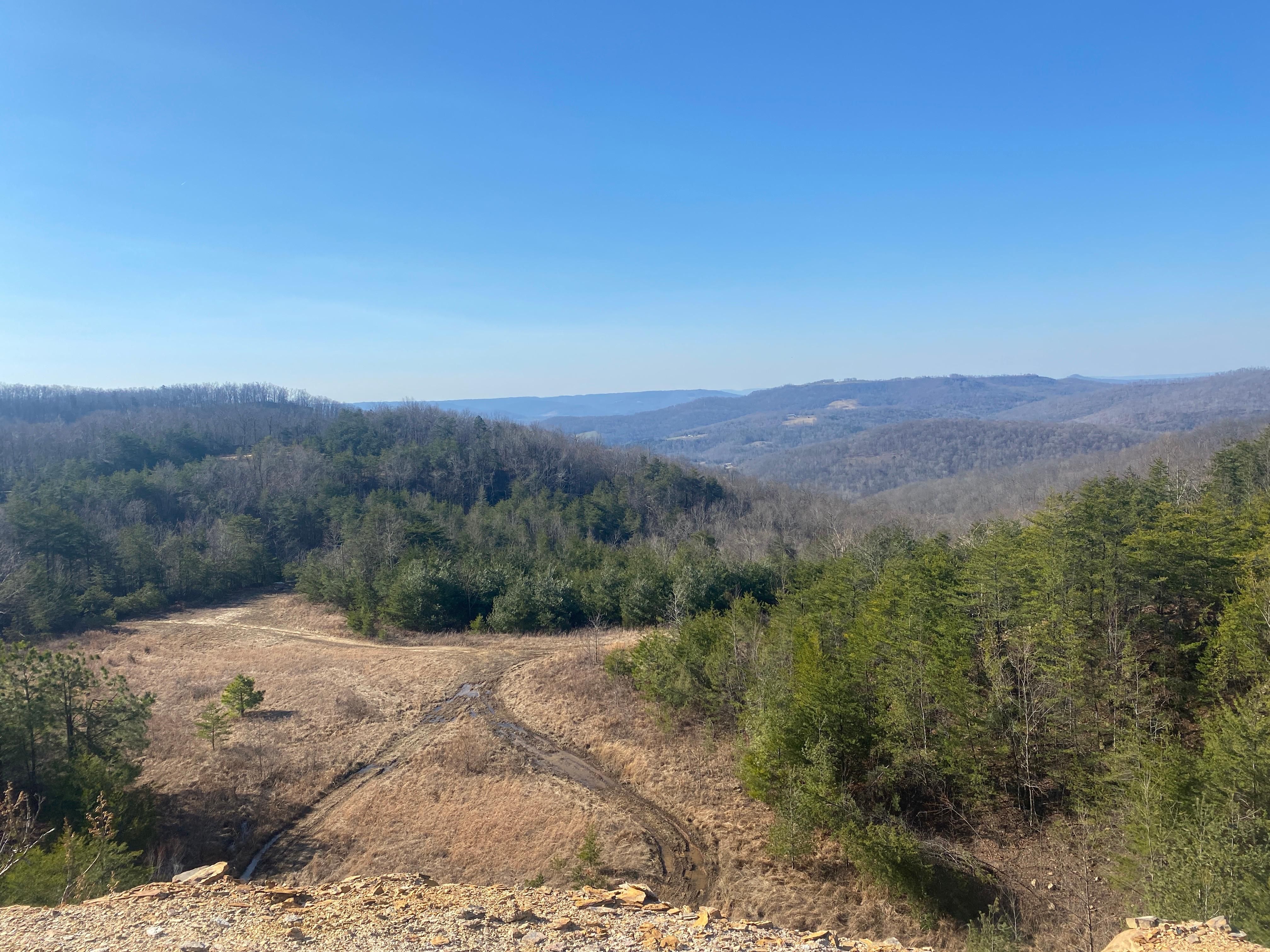 Sand Mine Rd., Albany, KY 42602 | LandWatch