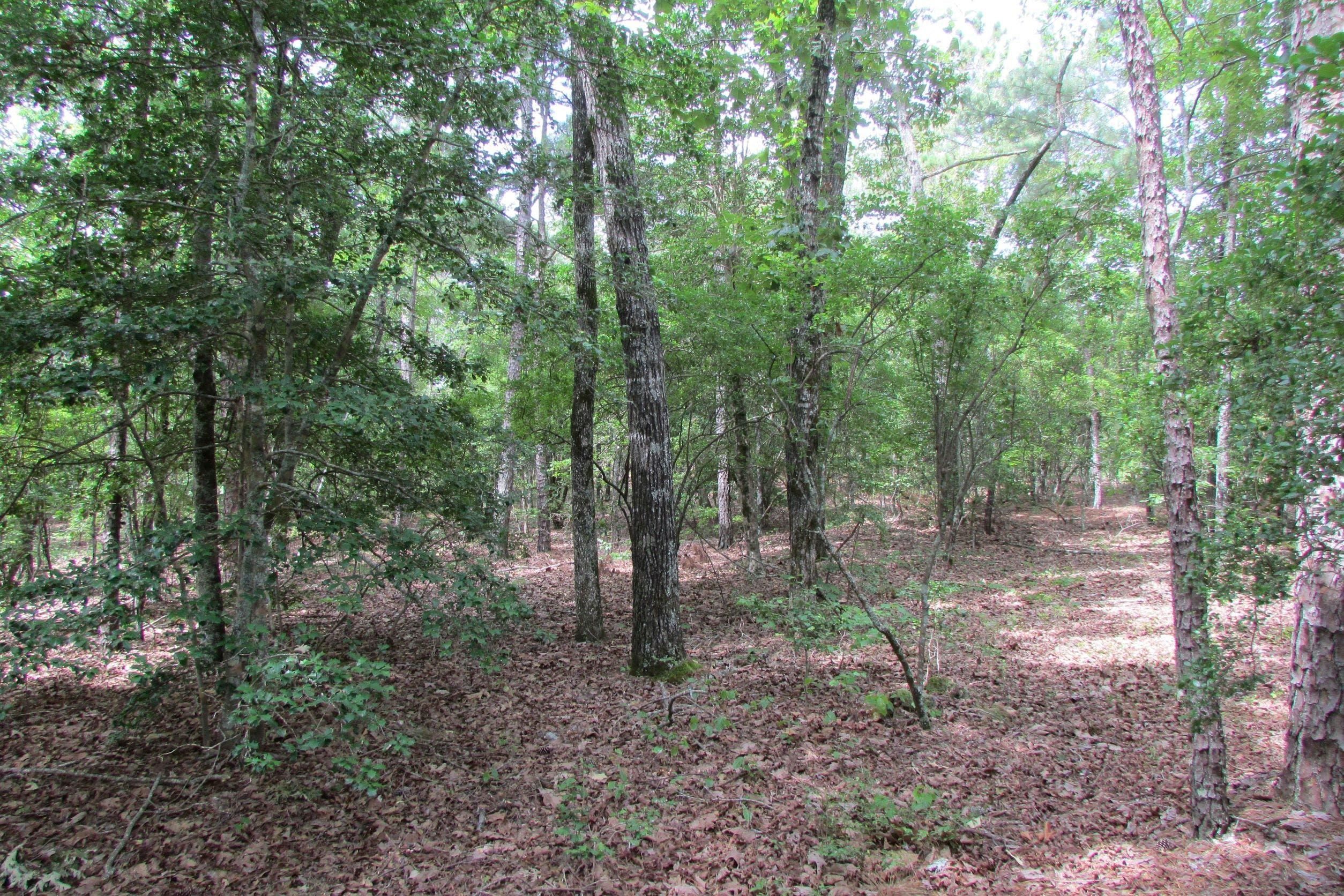 10.16 acres in Ruby, SC, | LandWatch