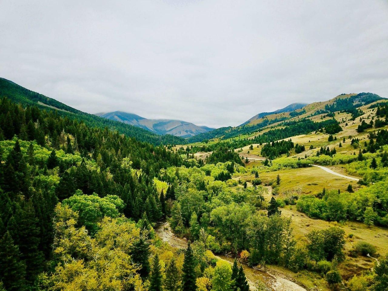 15245 Benchmark Rd., Augusta, MT 59410 | LandWatch