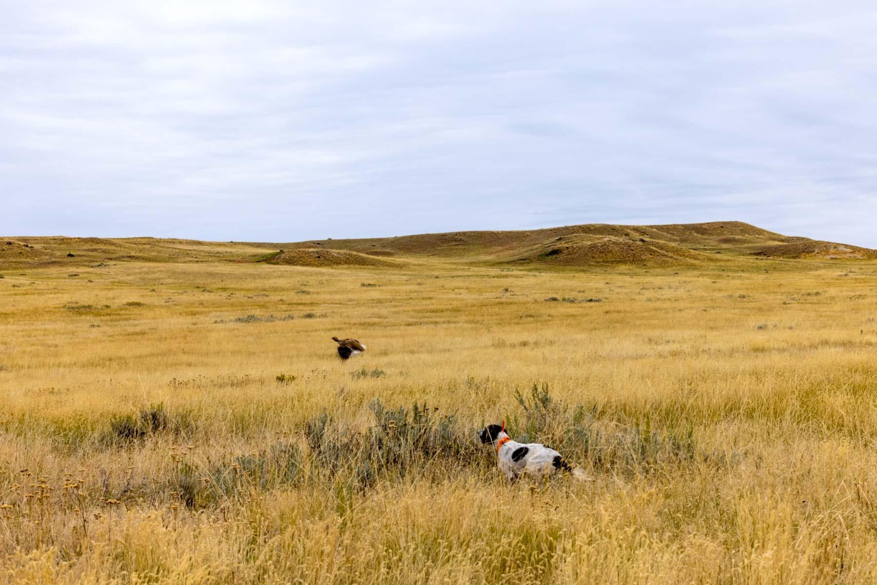 4,642 acres in Otter, MT, 59003 | LandWatch