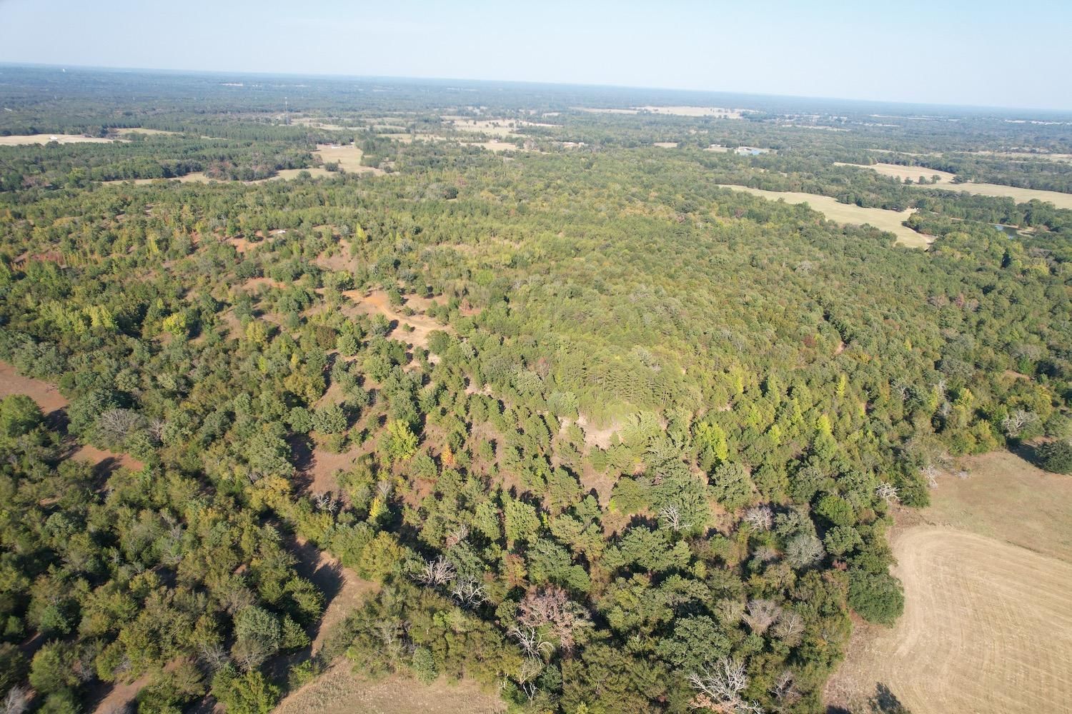 Lindale, Smith County, TX Recreational Property, Undeveloped Land for ...