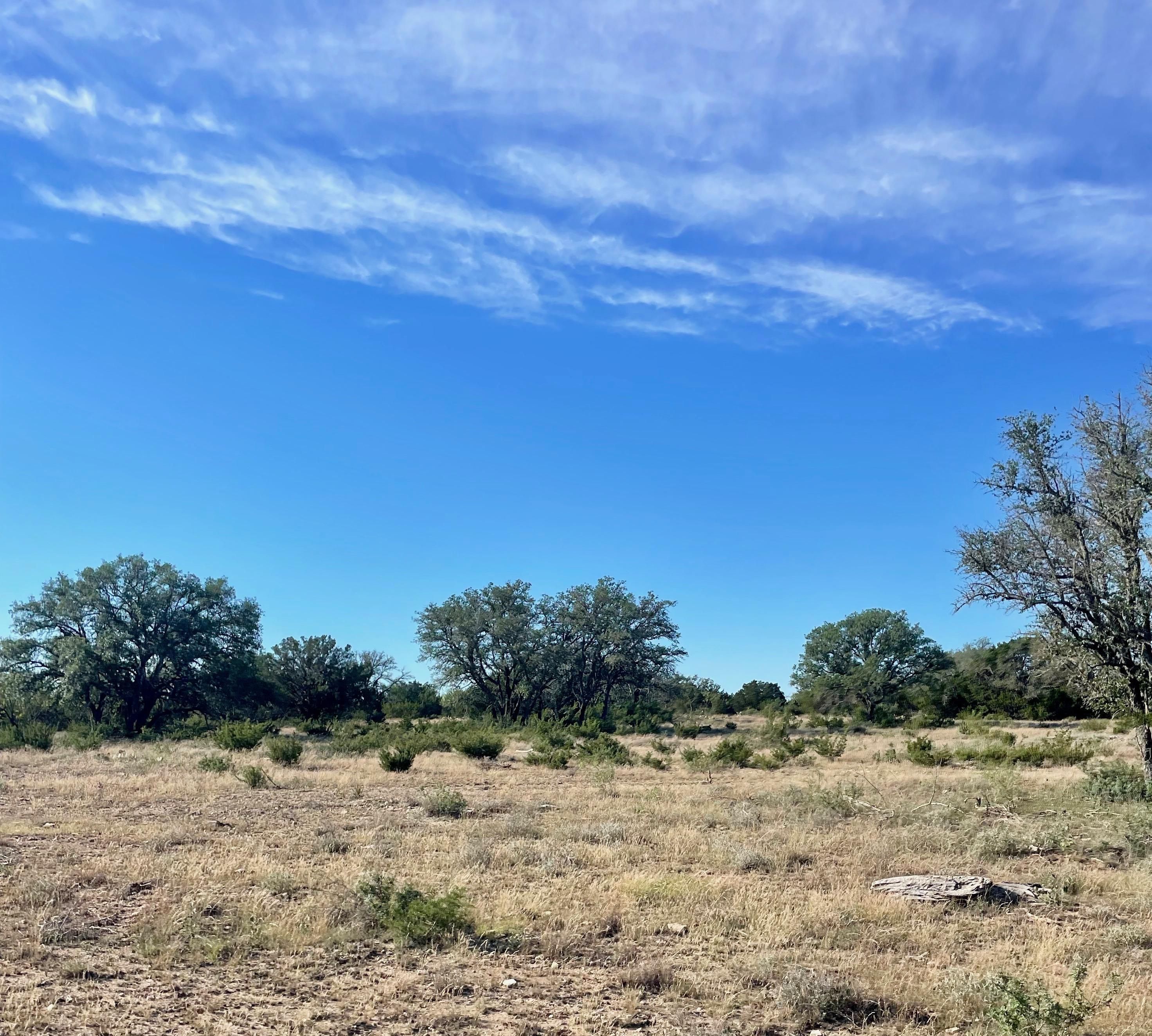 Sonora, Sutton County, TX Farms and Ranches, Recreational Property ...