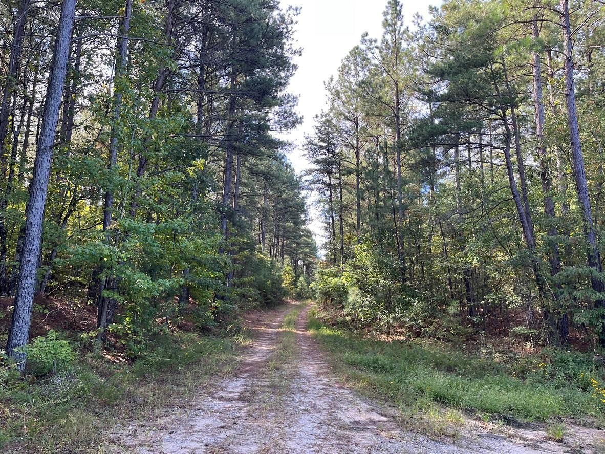 Floralee Road, Midway, VA 23959 | MLS: B408 Cherry Tree Turnip Creek-4 ...