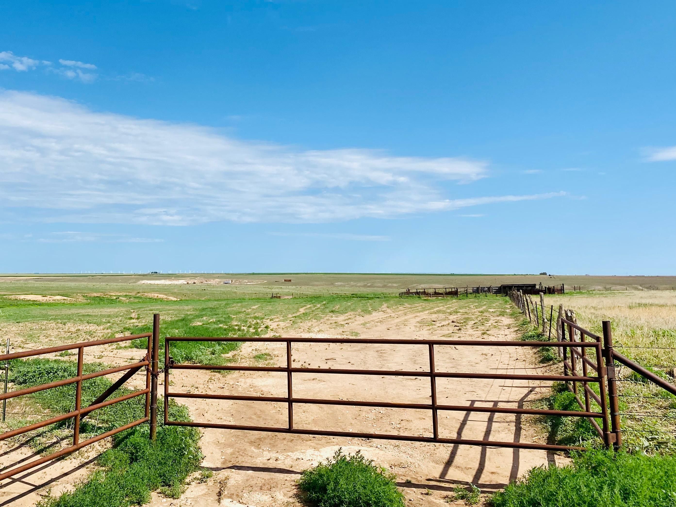 651 acres in Dawn, TX, 79015 | LandWatch