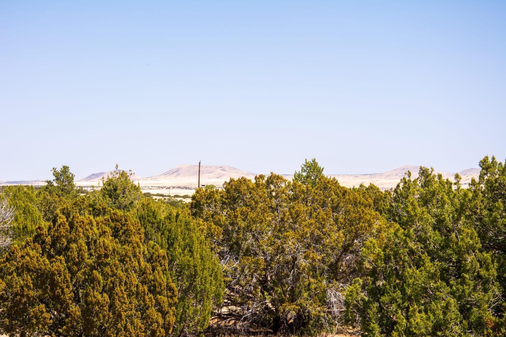 #A5-1128, Concho, AZ 85924 | MLS: 107-34-402 | LandWatch