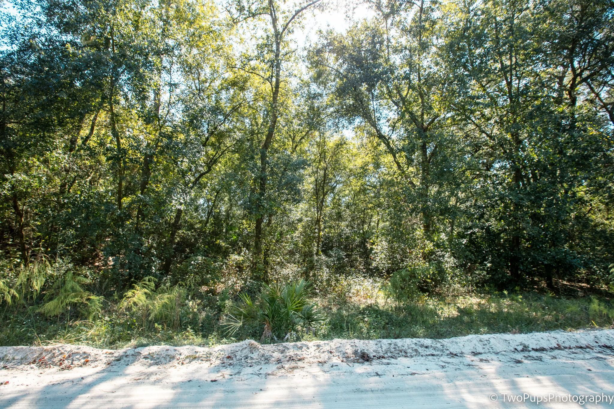 Florahome, Putnam County, FL Homesites for sale Property ID: 415157769 ...