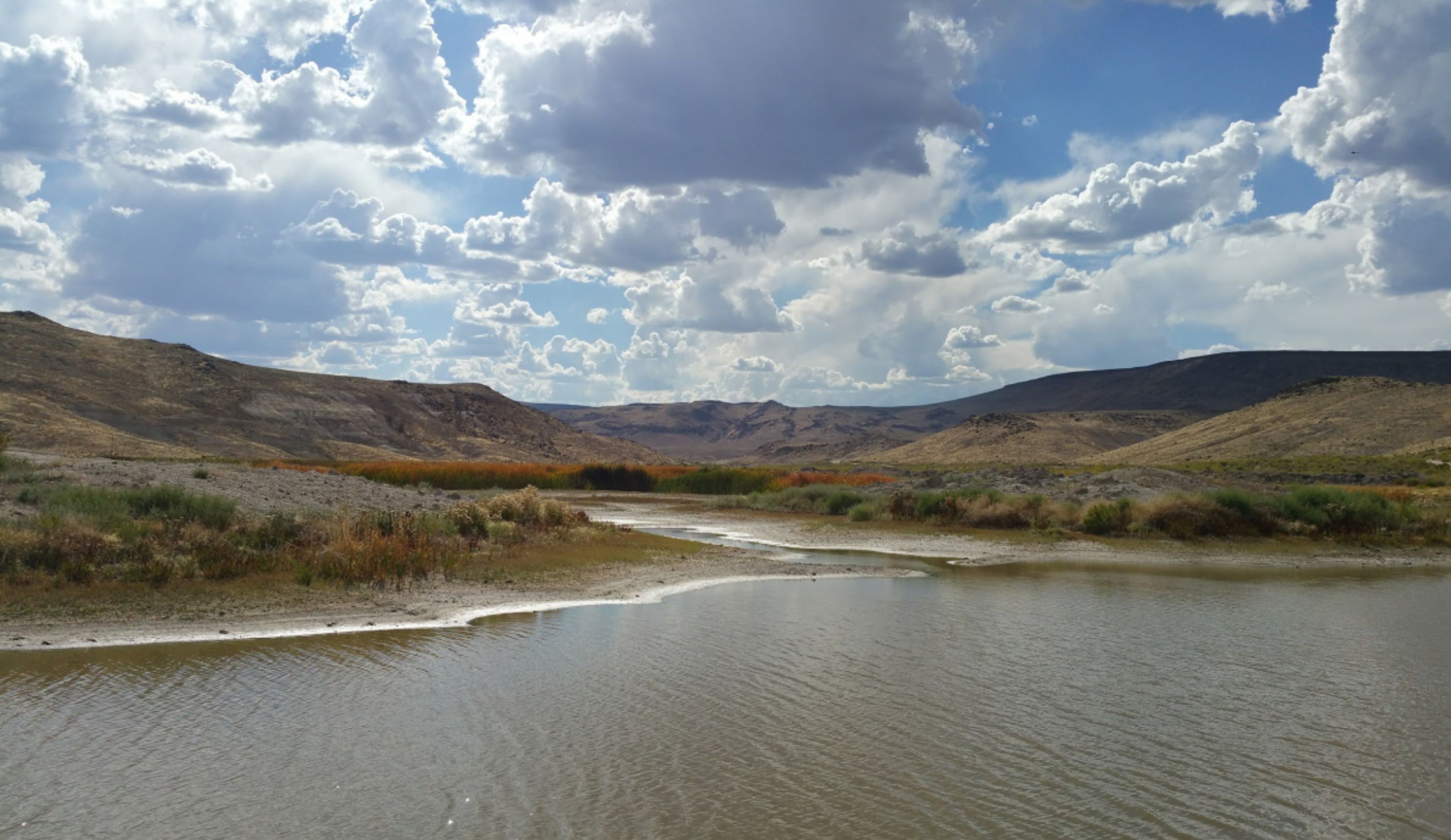 40 acres in Gerlach, NV, 89412 | LandWatch