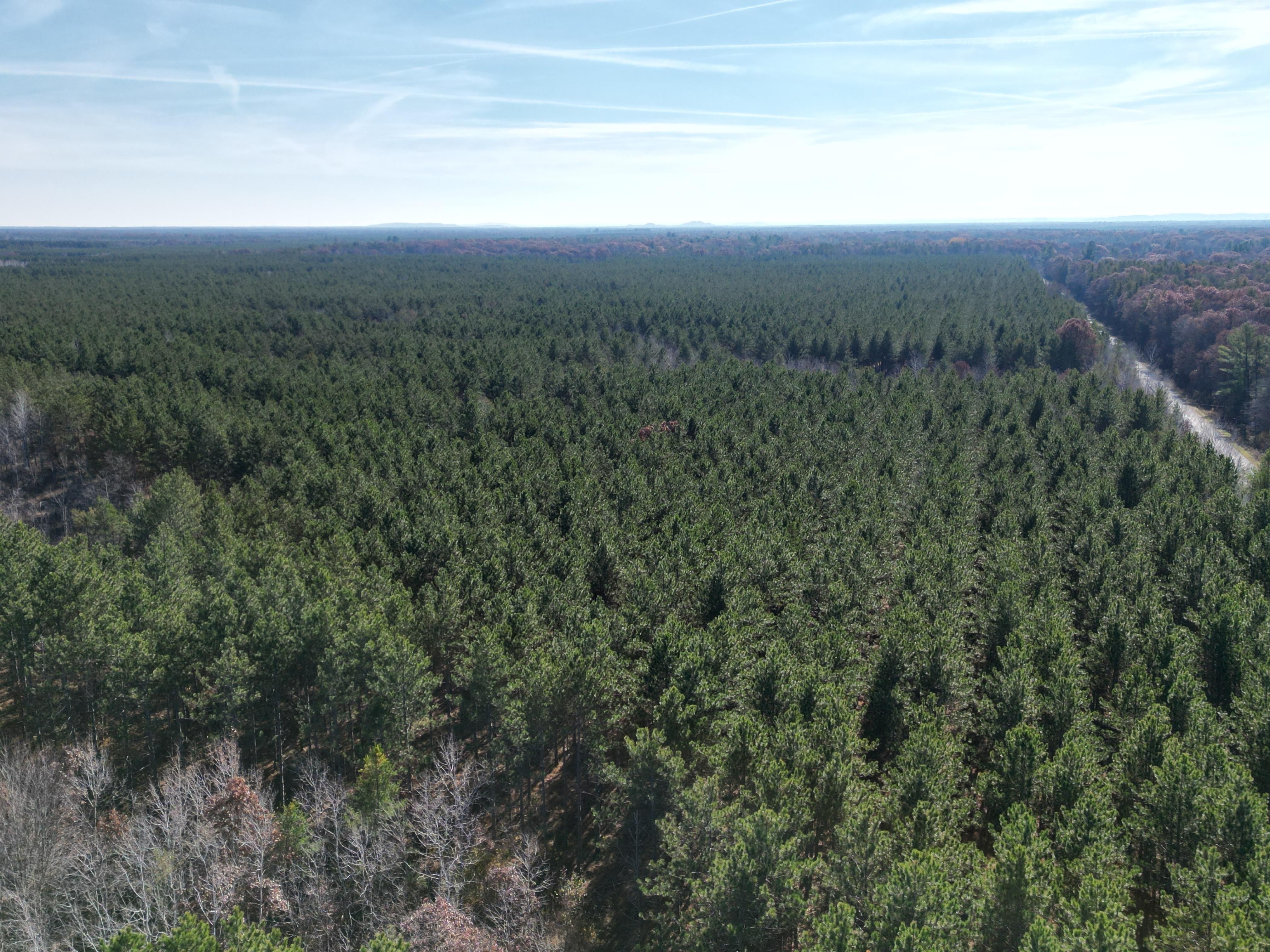 New Lisbon, Juneau County, WI Recreational Property, Timberland ...