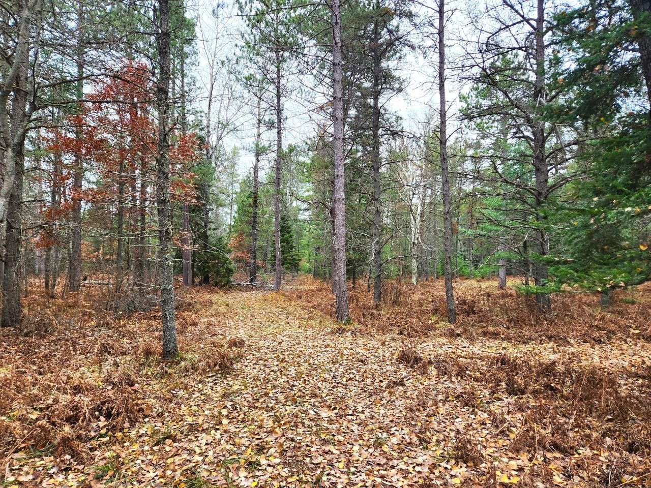 Conover, Vilas County, WI Undeveloped Land for sale Property ID ...