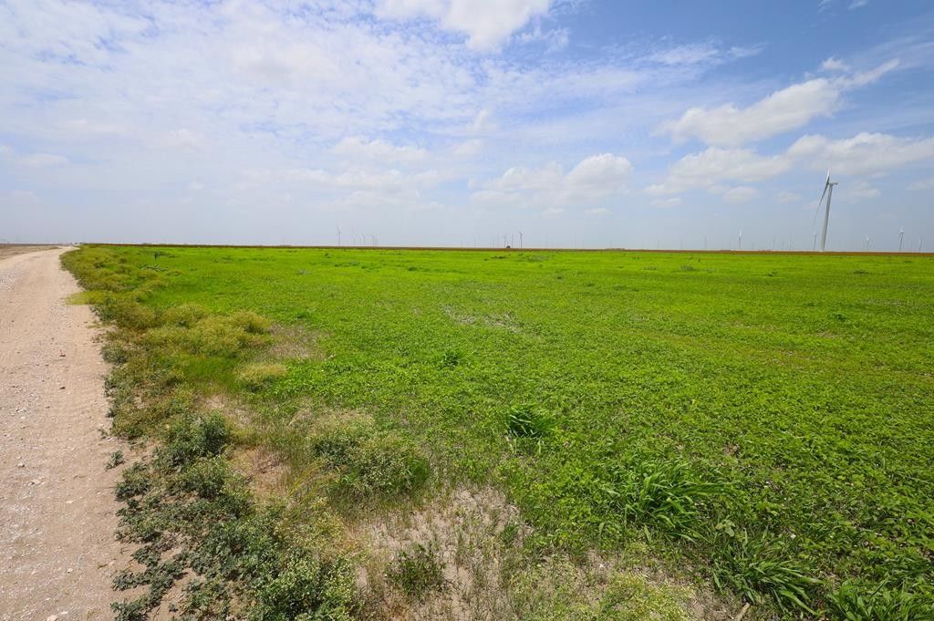 Tynan, Bee County, TX Undeveloped Land for sale Property ID: 415196993 ...